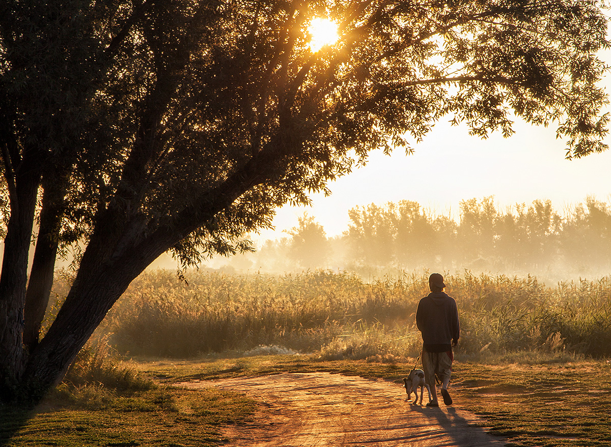 Minimal Daily Step Goal: The Science-Backed Target